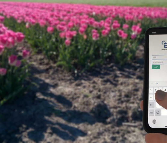 Nieuw klantportaal MijnBKD - BKD - Uw schakel in kwaliteit